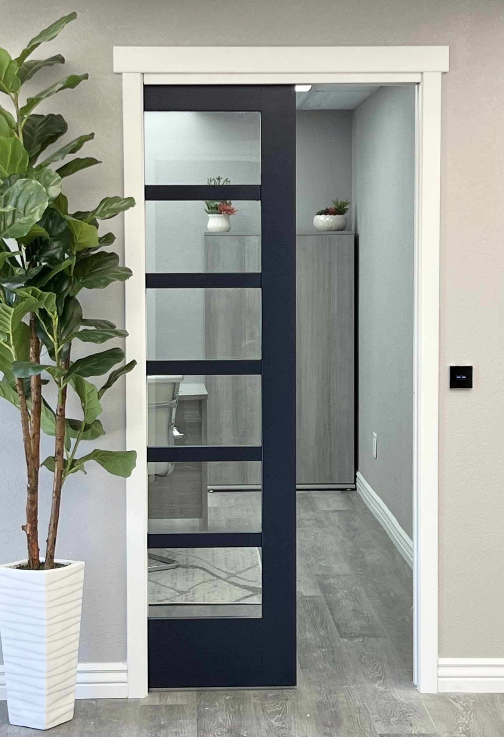 WAAY™ Automatic Pocket Doors – Automatic pocket doors